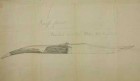 Marlene Tromp, “A Priori: Harriet Buswell and Unsolved Murder Before ...